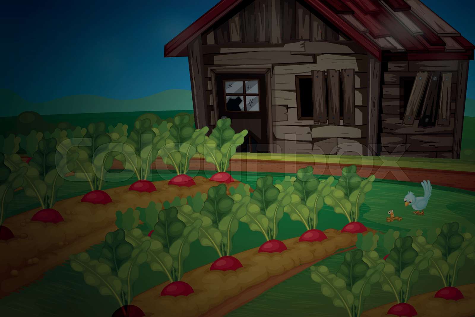 Wooden Hut By The Vegetable Garden Stock Vector Colourbox