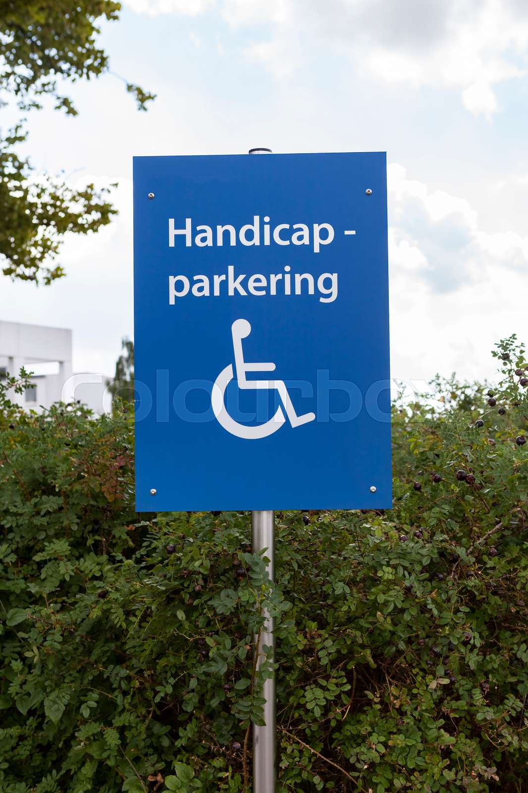 Handicap parkering, skilt | Stock foto | Colourbox