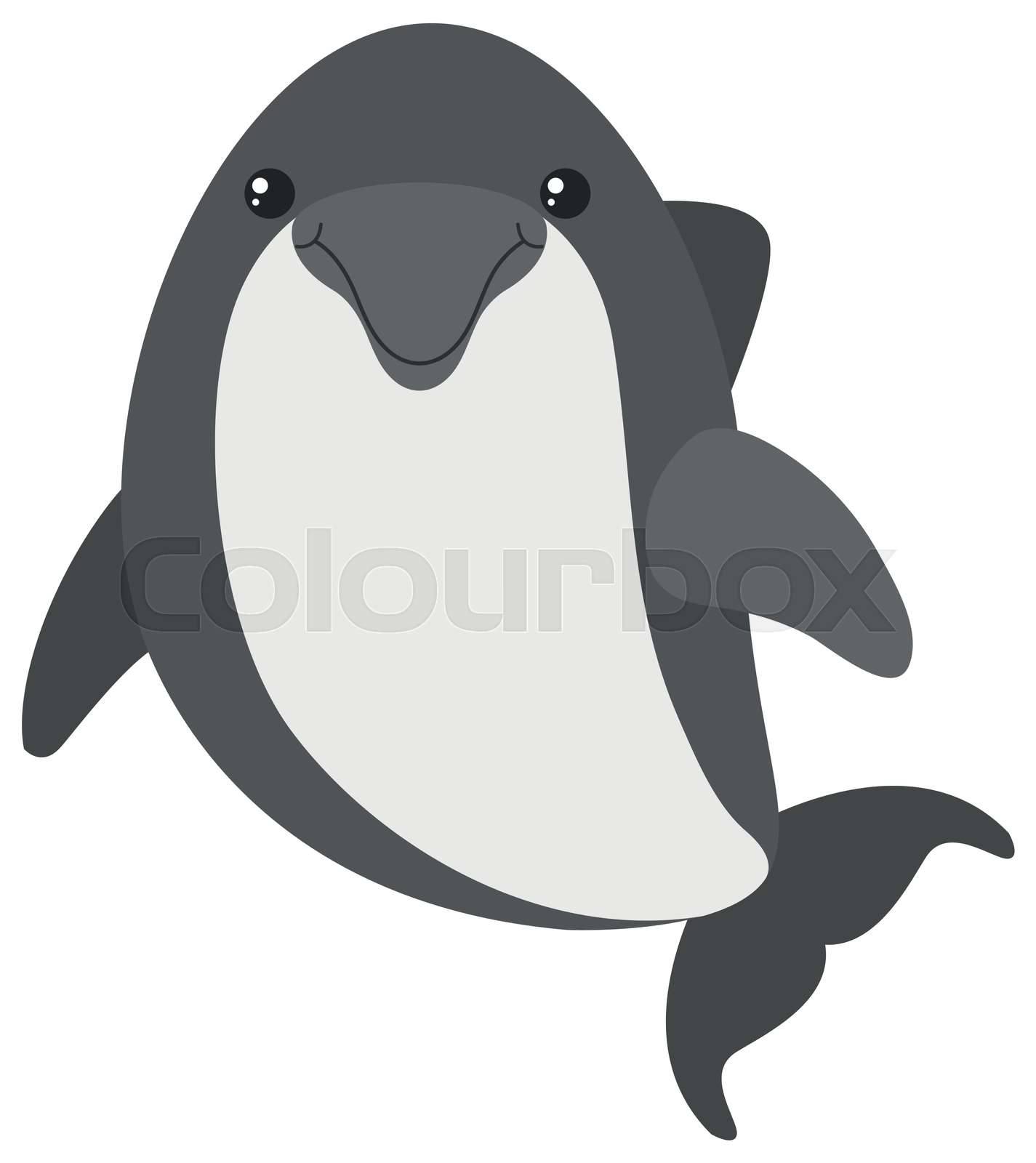 Gray dolphin on white background | Stock vector | Colourbox