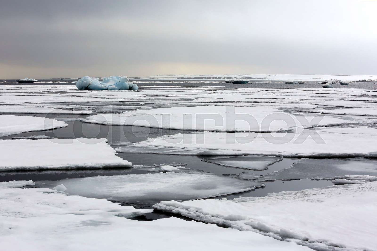 arktis, eis, eisschollen | Stock Bild | Colourbox