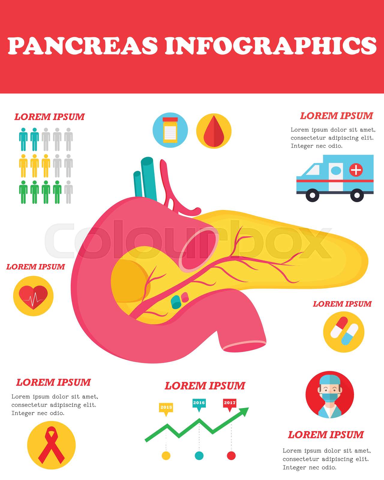 Infographic poster with pancreas illustration. | Stock vector | Colourbox