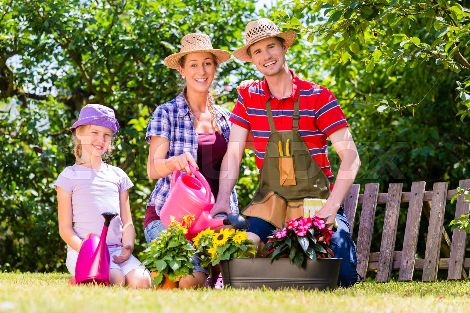 Family gardening in garden | Stock image | Colourbox