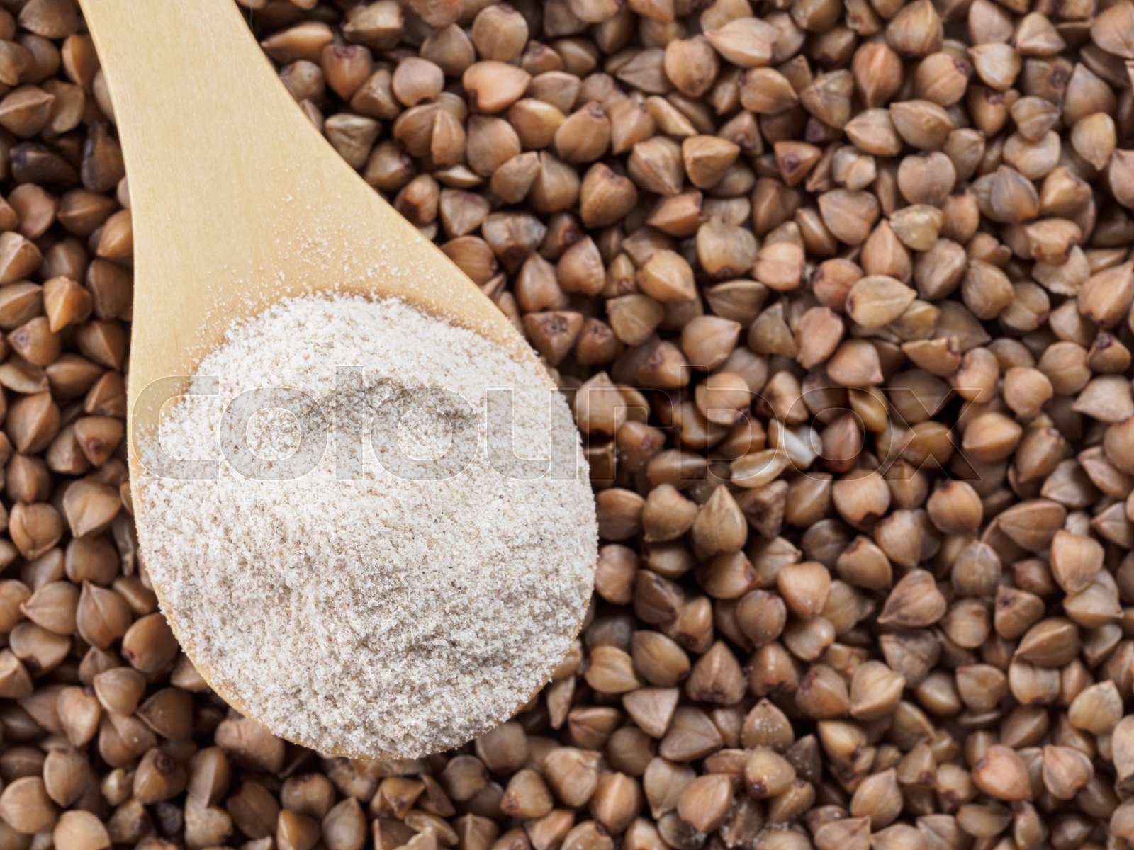 Buckwheat flour | Stock image | Colourbox