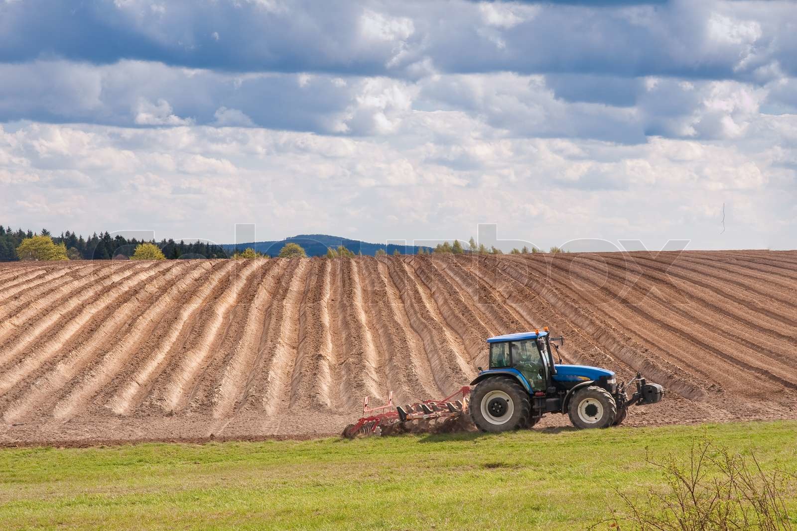 tractor planting potatoes in the springtime | Stock image | Colourbox