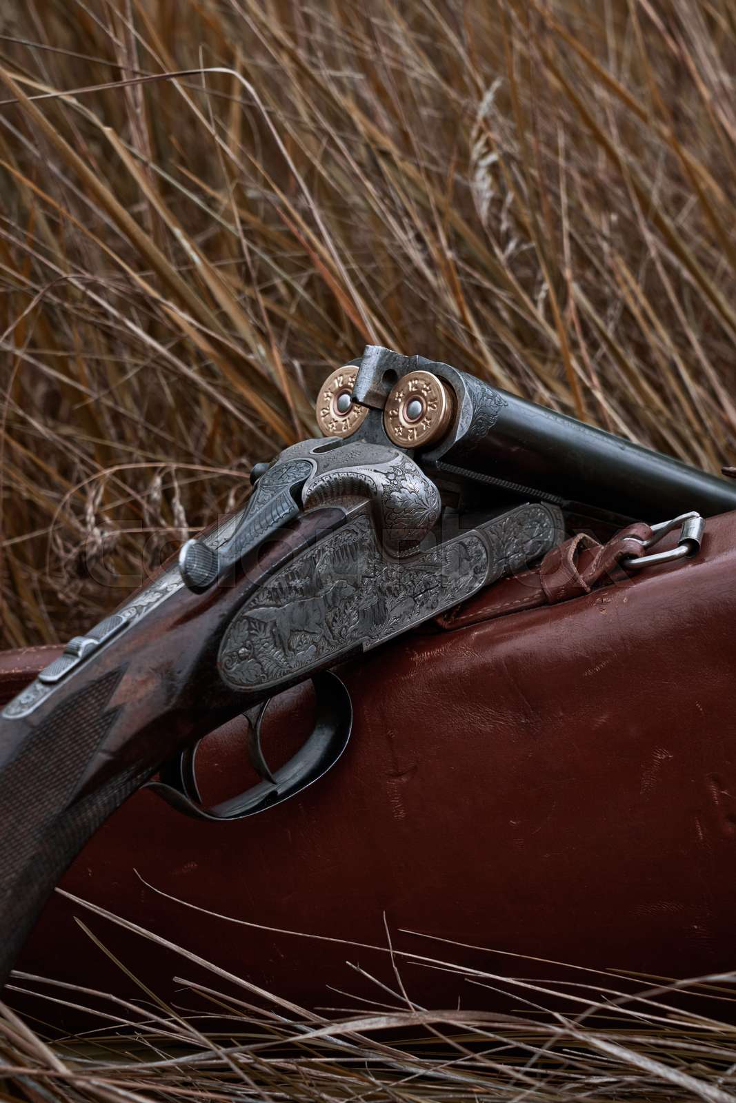 An old horizontal double-barrel | Stock image | Colourbox