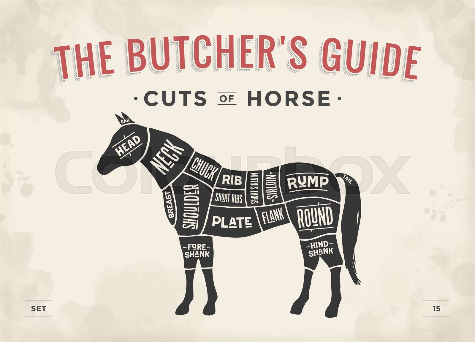 Cut of meat set. Poster Butcher diagram, scheme - Horse | Stock vector ...