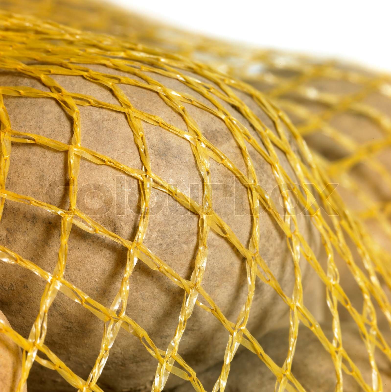 potatoes in a net in white back | Stock image | Colourbox