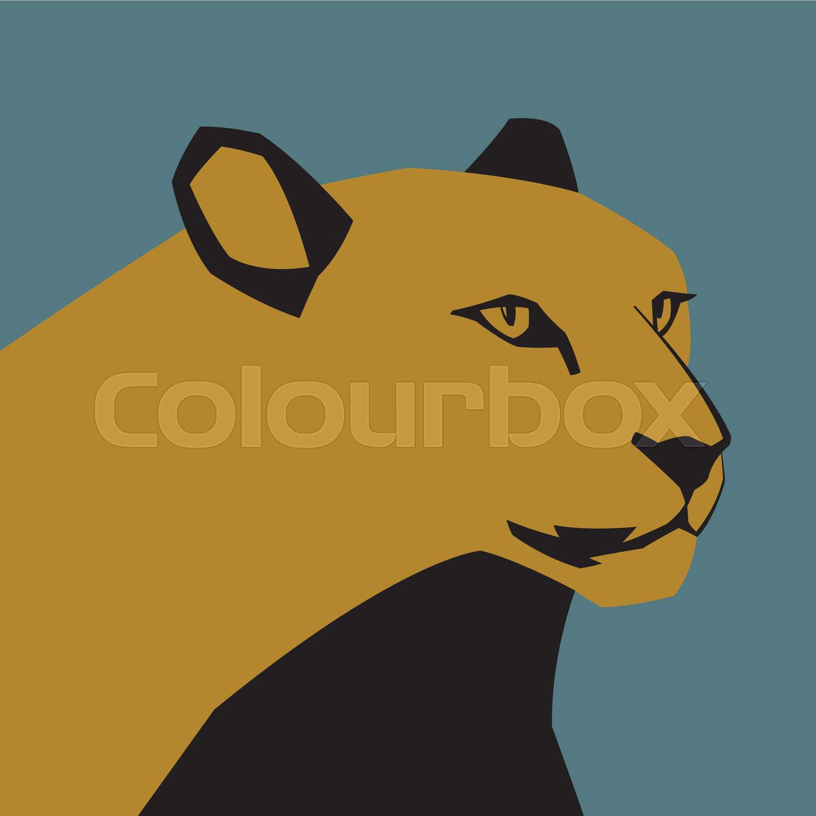 puma head vector illustration | Stock vector | Colourbox