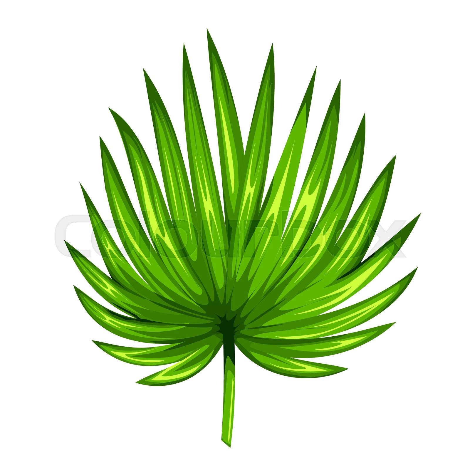 Green leaf of palm tree isolated on white background. Palm leaf icon ...