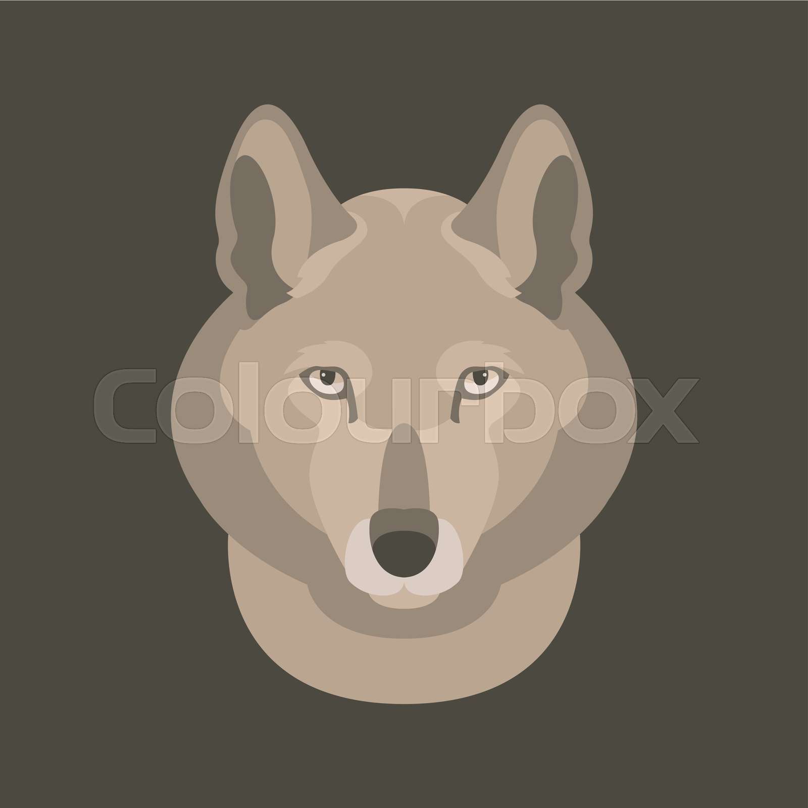 wolf face head | Stock vector | Colourbox