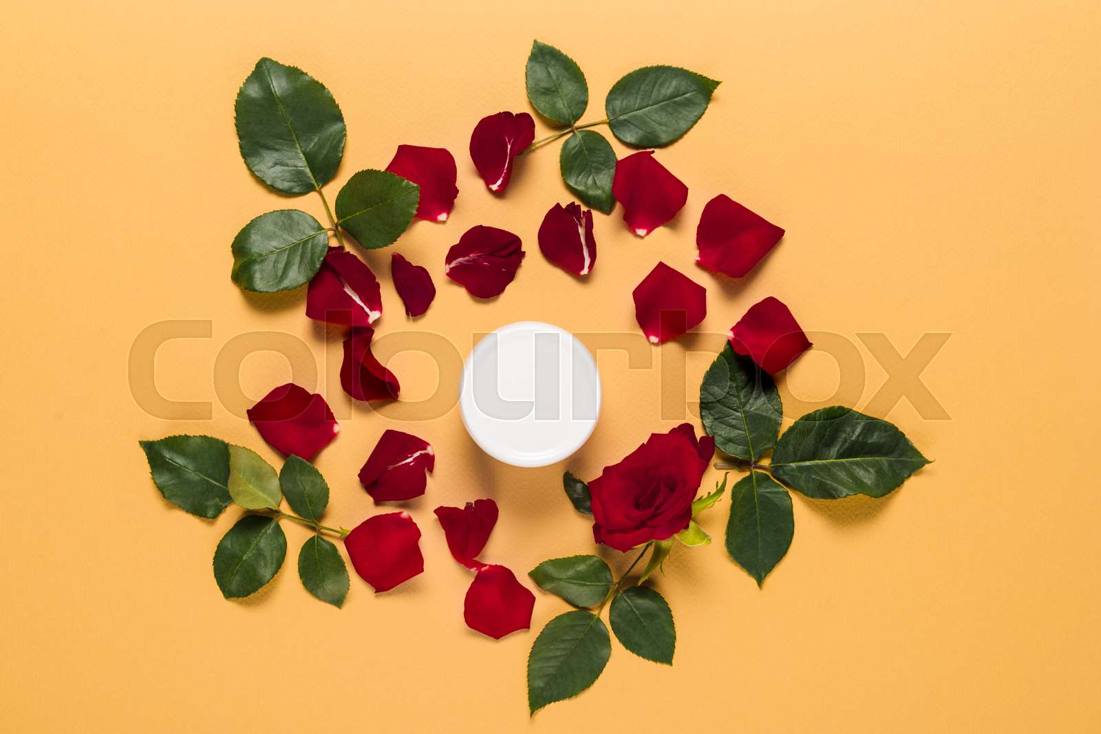 cream in floral frame | Stock image | Colourbox