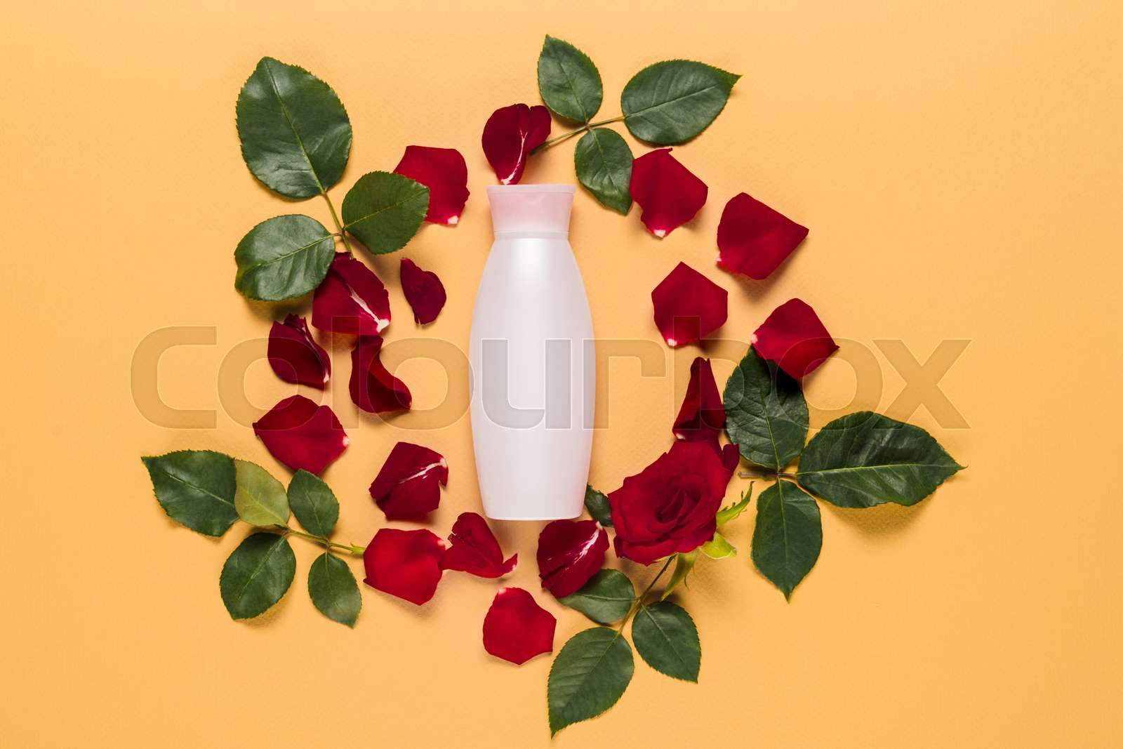 lotion in floral frame | Stock image | Colourbox