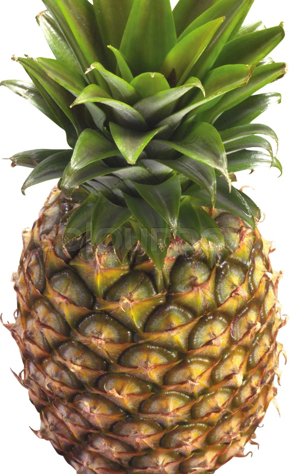 Ananas isoliert auf weißem Hintergrund | Stock Bild | Colourbox