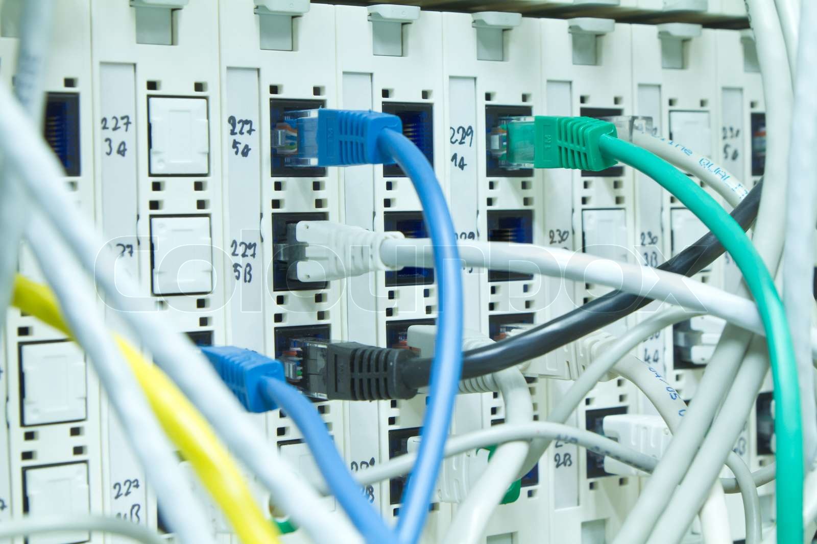 ethernet cables maze connected to switch | Stock image | Colourbox