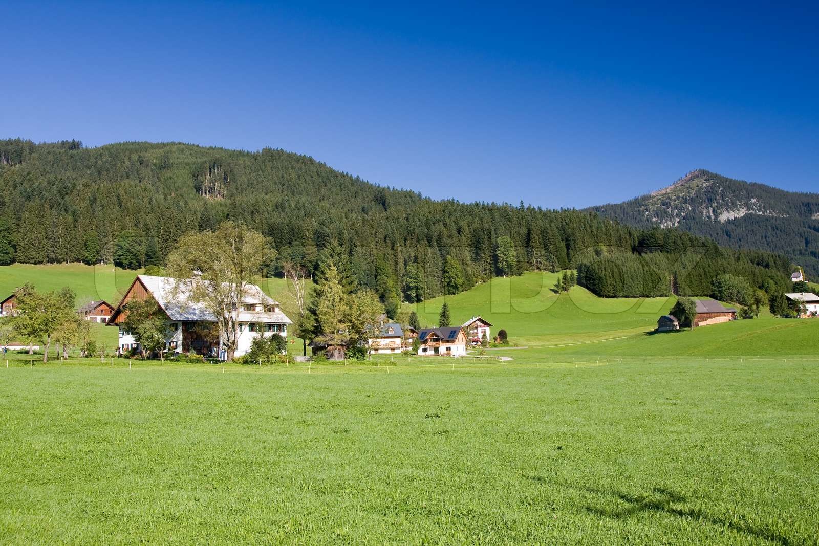 alpine farmland in the summer, Austria | Stock image | Colourbox
