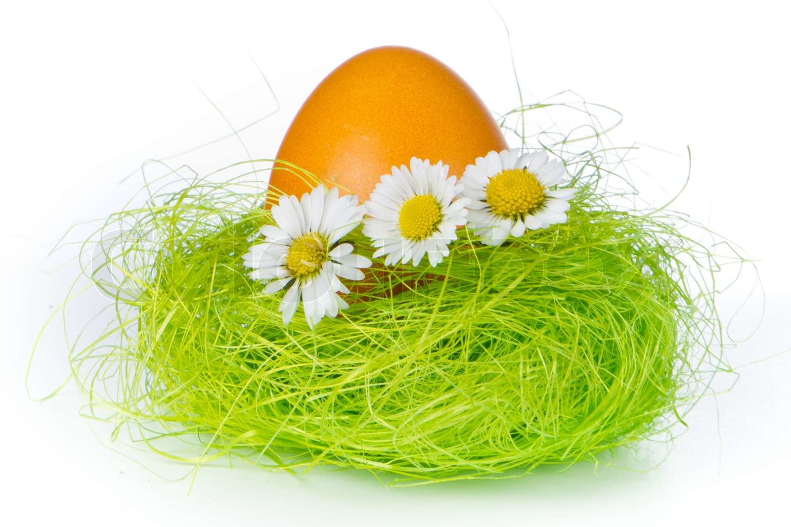 bemalte Osterei in einem Nest | Stock Bild | Colourbox