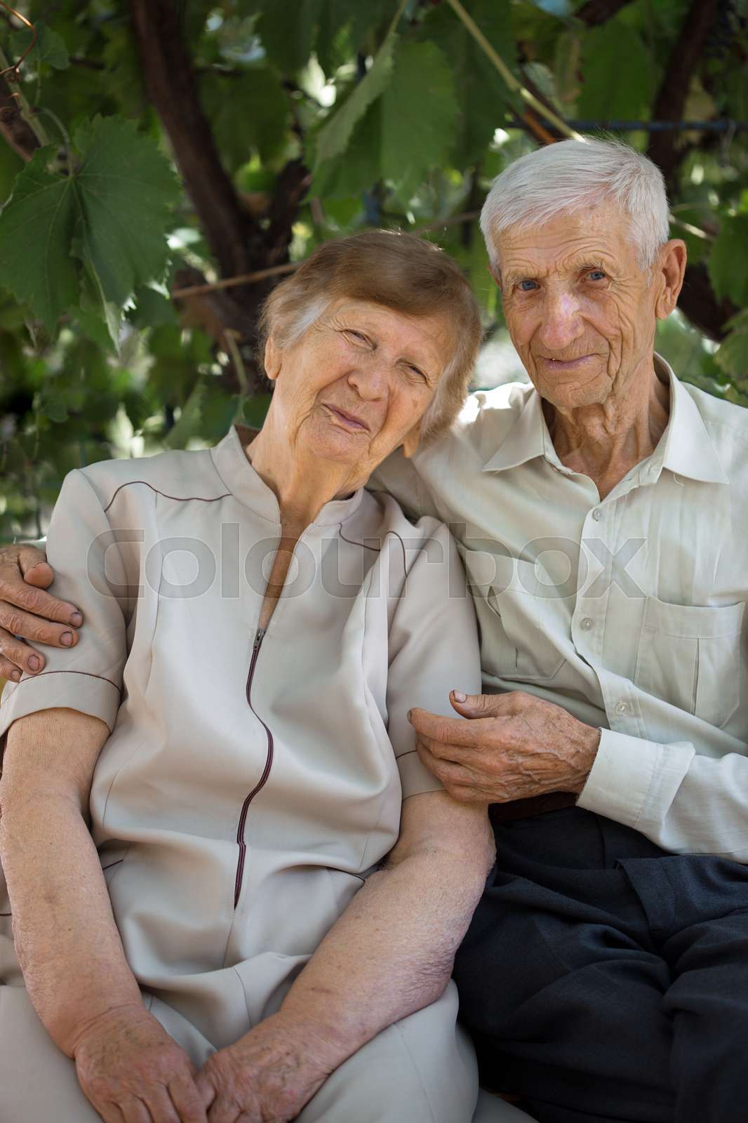 portrait of grandparents | Stock image | Colourbox