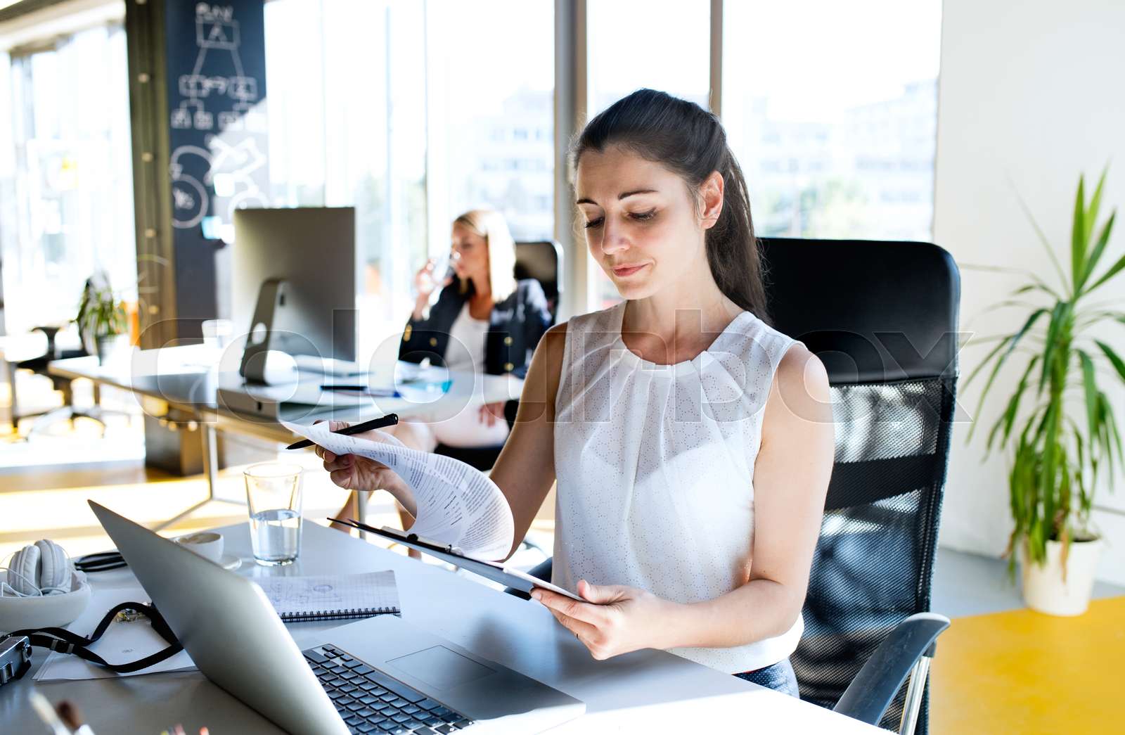 Two business women in the office working. | Stock image | Colourbox
