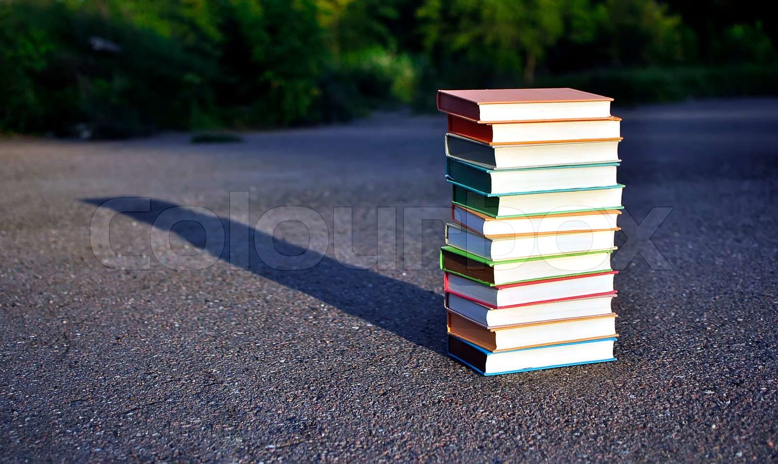 12 different books lying on the pavement | Stock image | Colourbox
