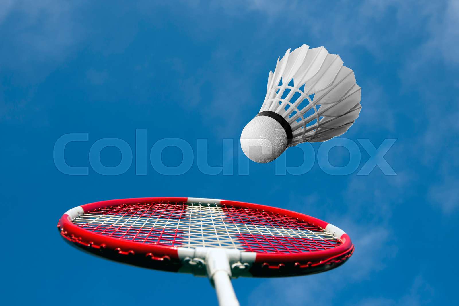 Badminton racket and ball | Stock image | Colourbox