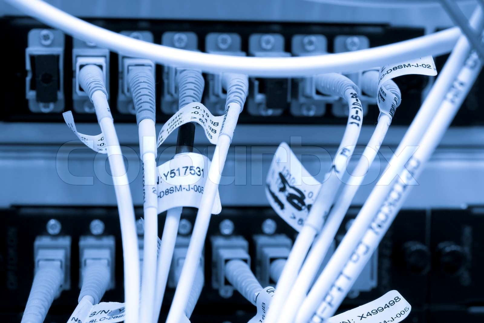 Fiber cables connected to servers in a datacenter | Stock image | Colourbox
