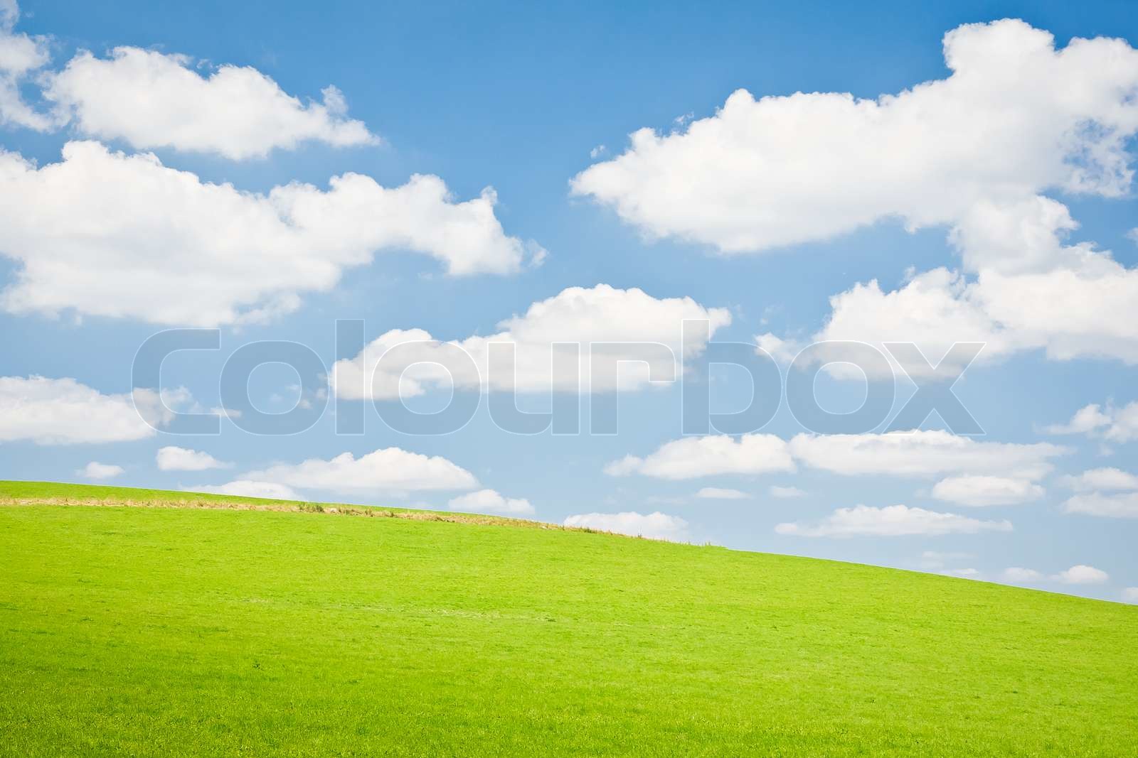 green farm land with a blue sky | Stock image | Colourbox