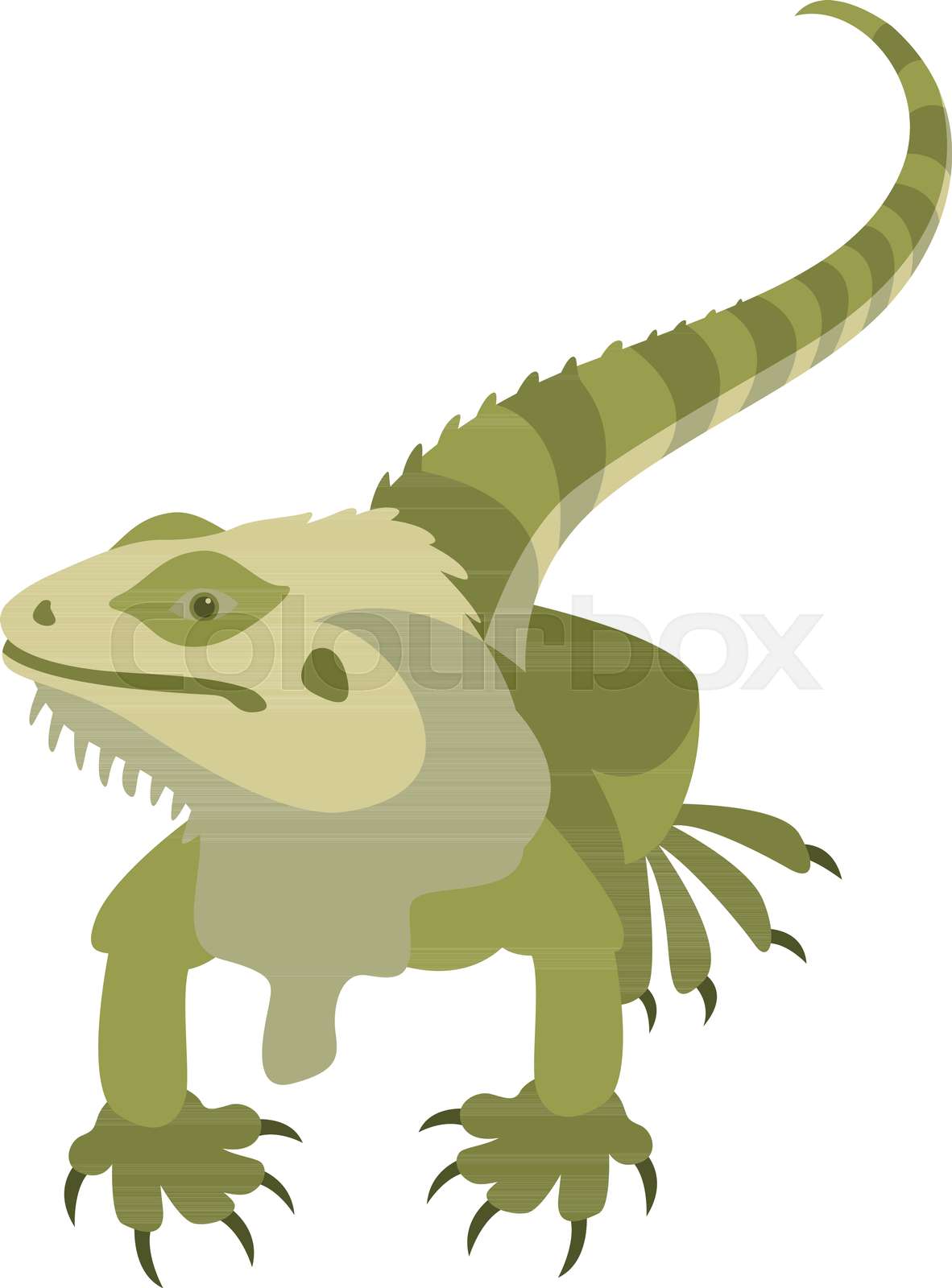 lizard vector illustration | Stock vector | Colourbox