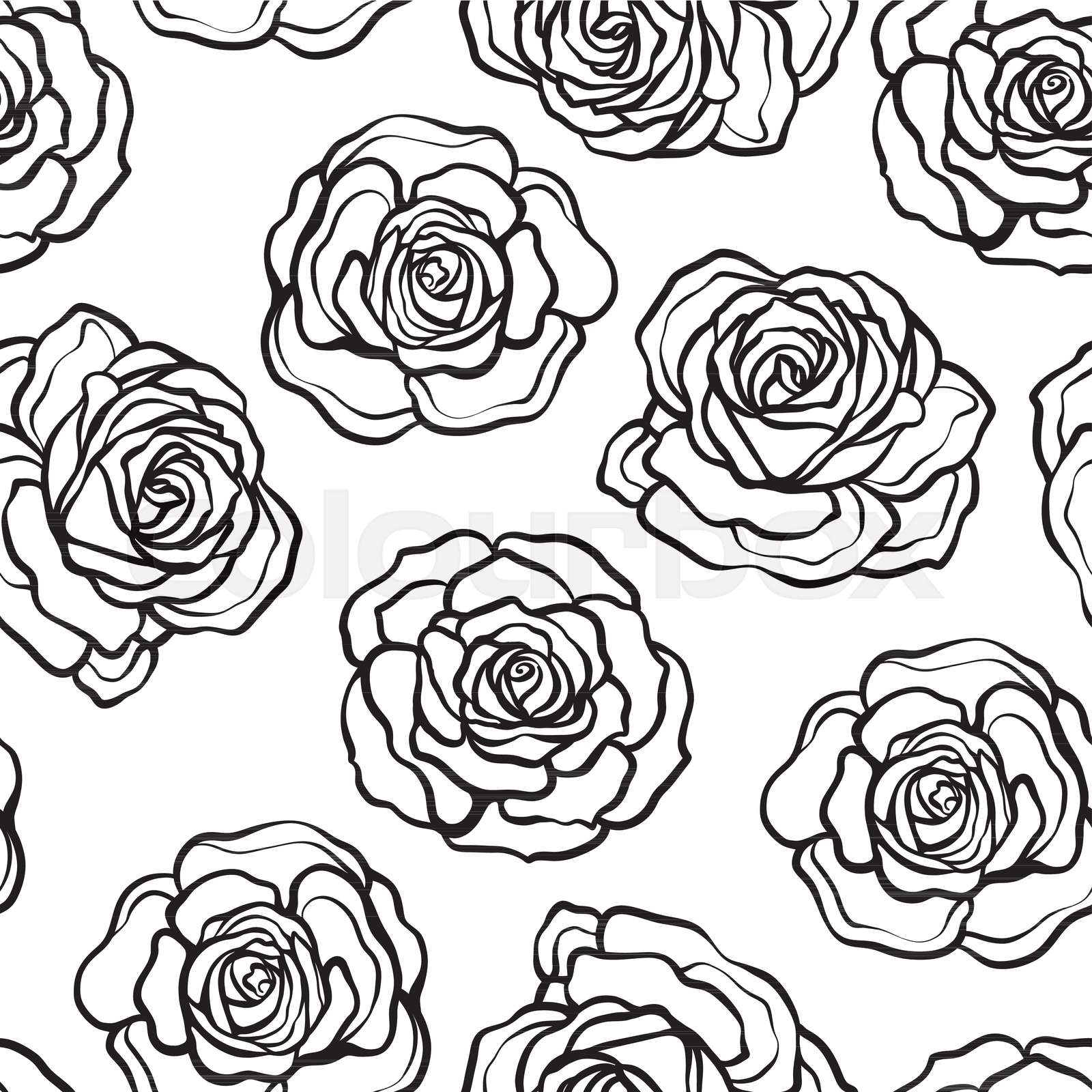 Rose flower seamless pattern. Outline black roses on white background ...