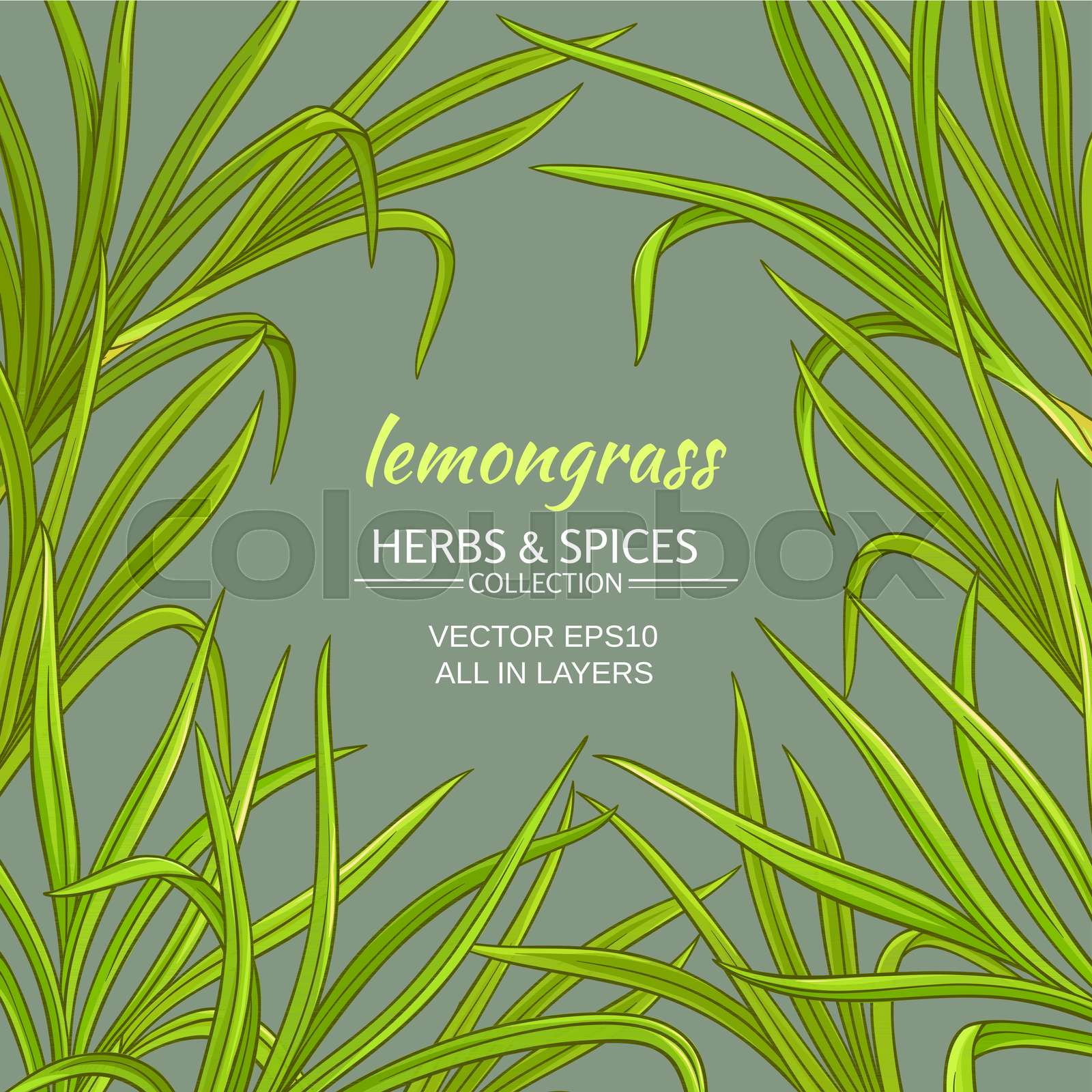 Lemongrass Vector Frame Stock Vector Colourbox