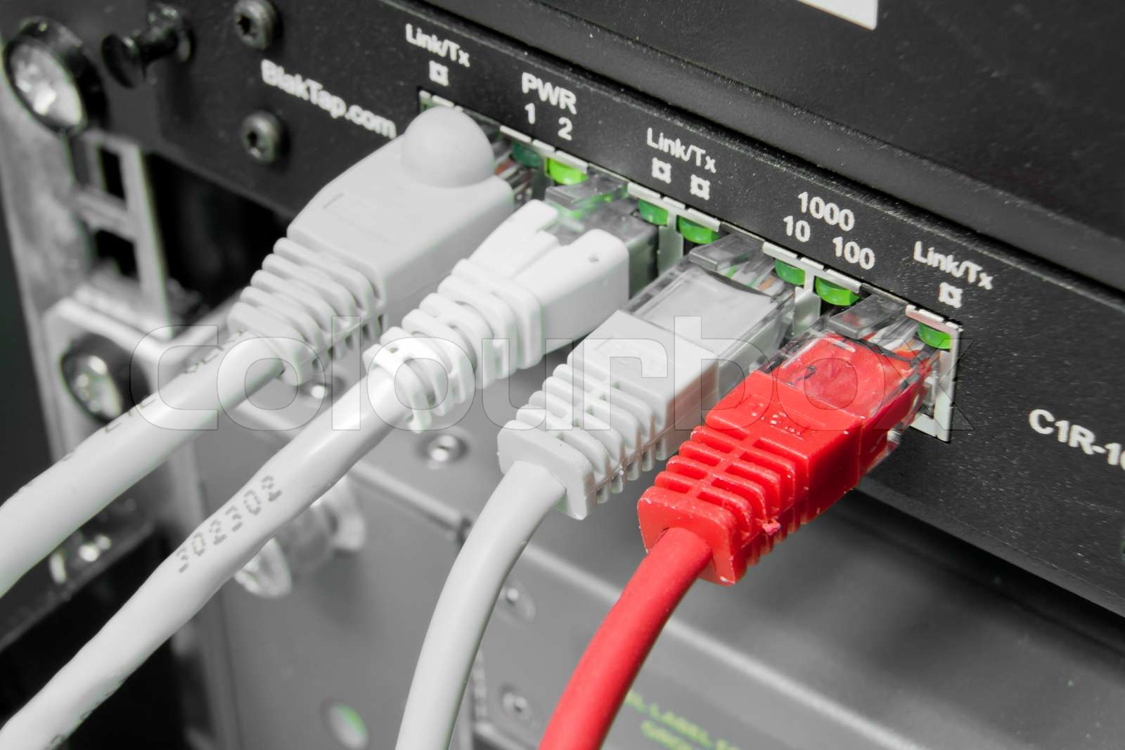 ethernet cables connected to switch | Stock image | Colourbox