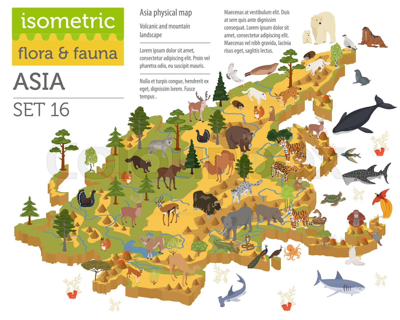 Isometric 3d Asian flora and fauna map constructor elements. Animals ...
