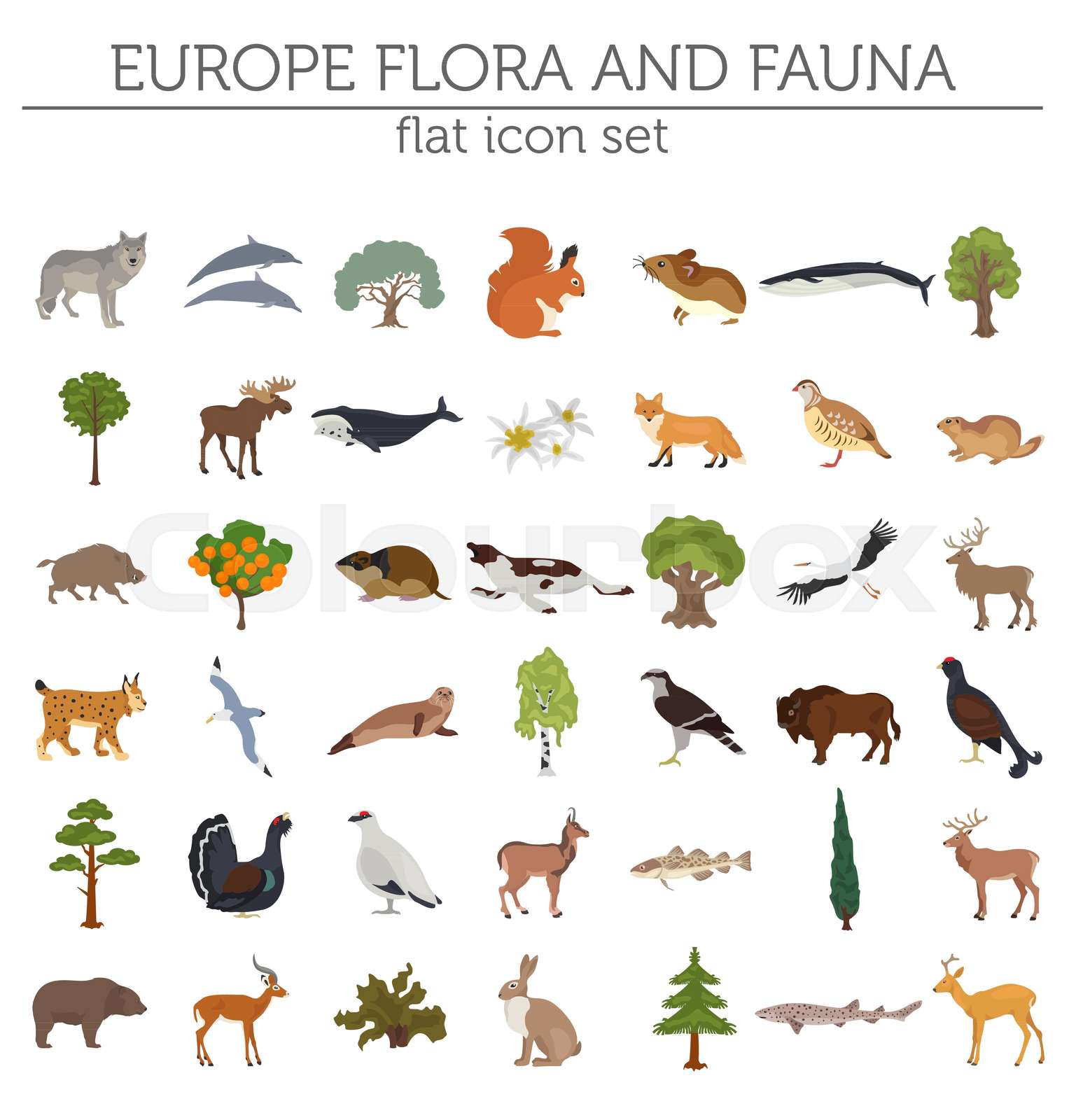 Flat European flora and fauna map constructor elements. Animals, birds ...