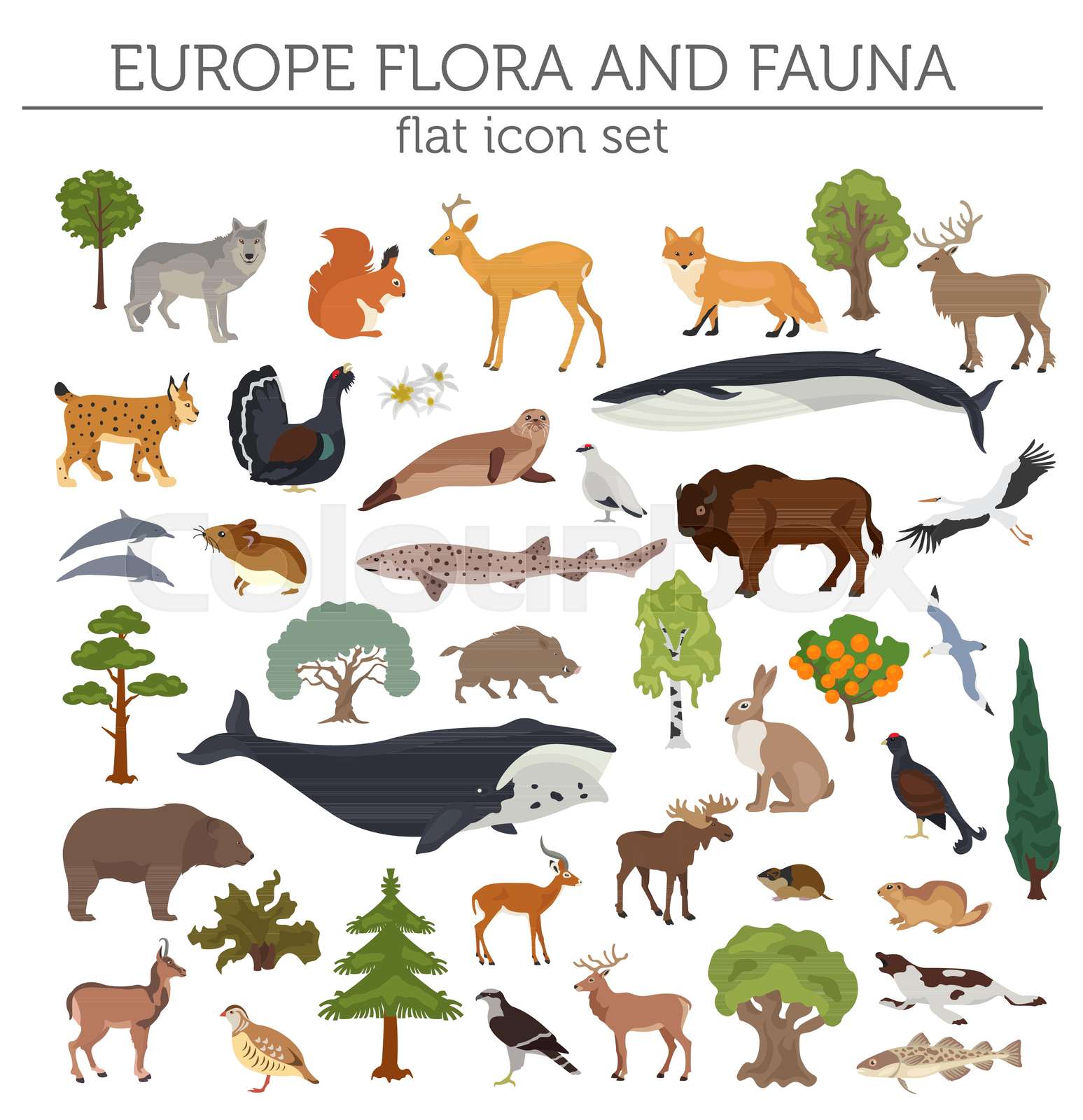 Flat European flora and fauna map constructor elements. Animals, birds ...