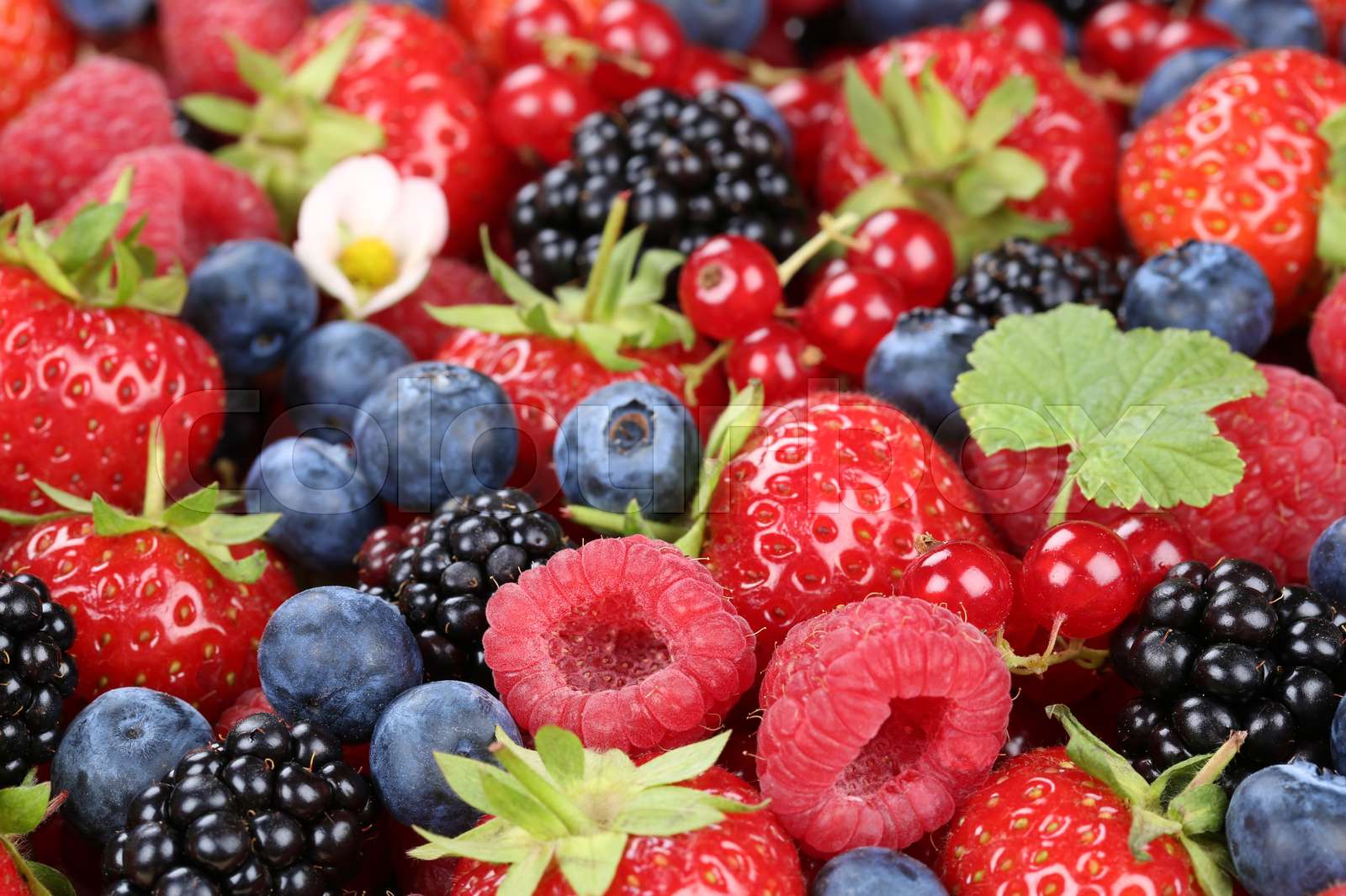 Berry fruits mix with strawberries, blueberries and cherries | Stock ...