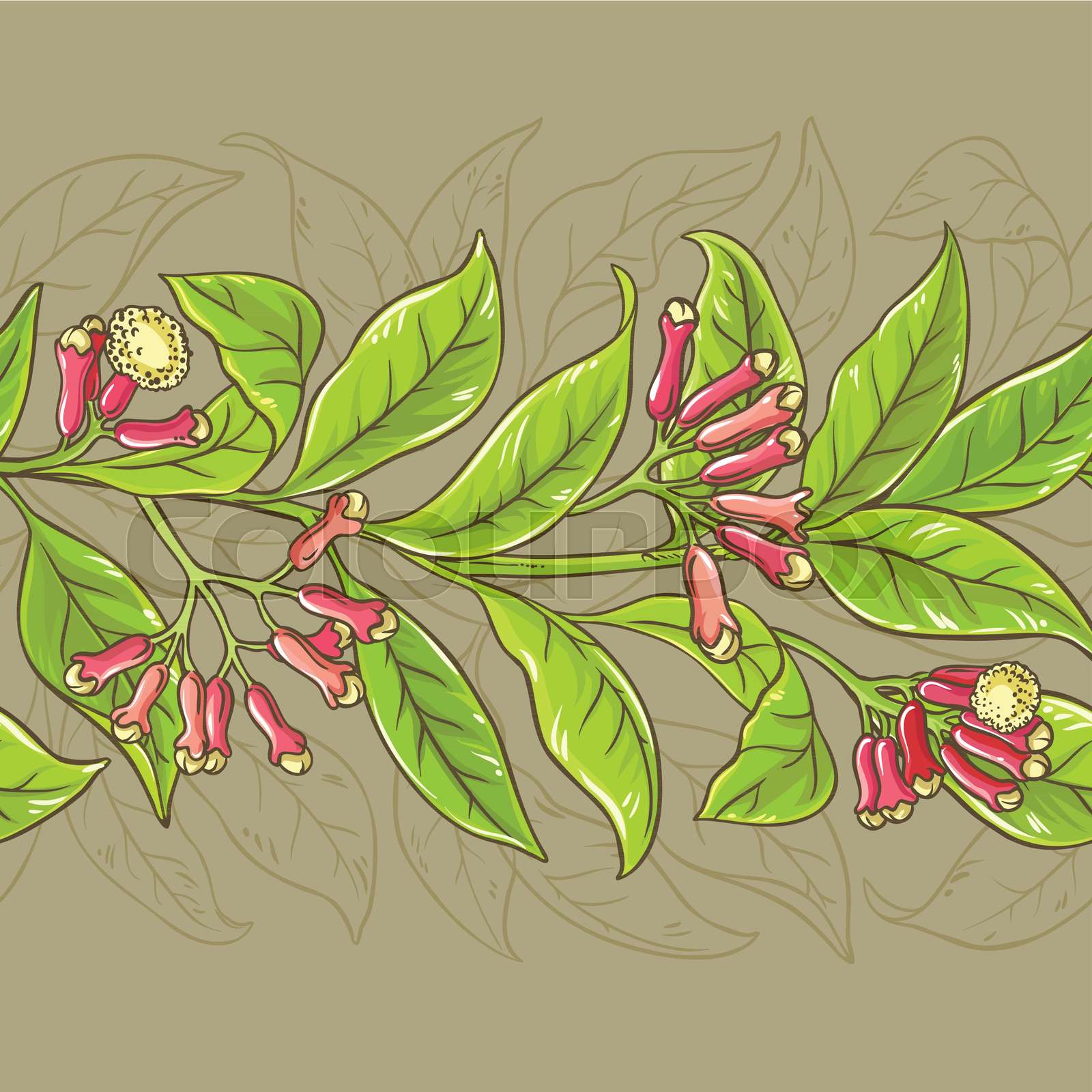 clove vector pattern | Stock vector | Colourbox
