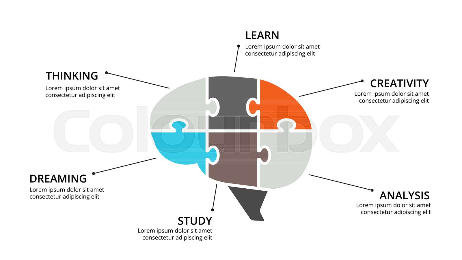 Vector brain infographic. Template for human head diagram, knowledge ...