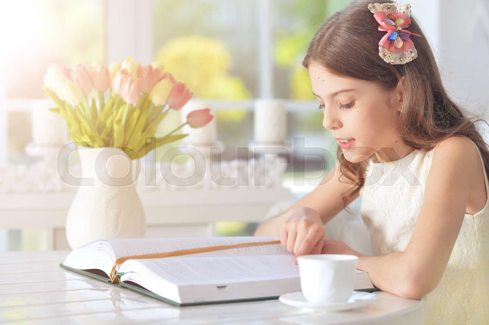 little cute girl reading book | Stock image | Colourbox