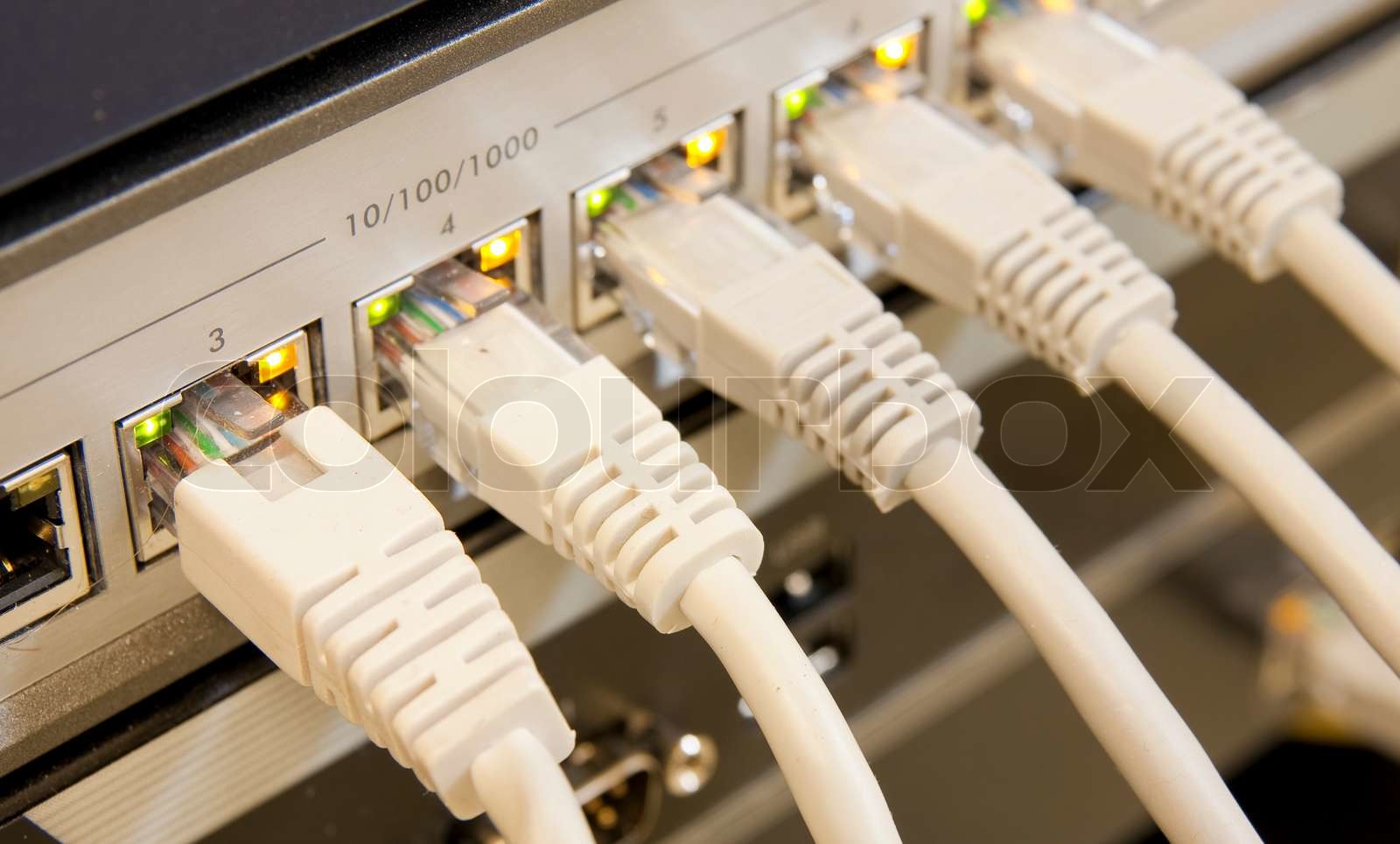 network cables RJ45 connected to a switch | Stock image | Colourbox