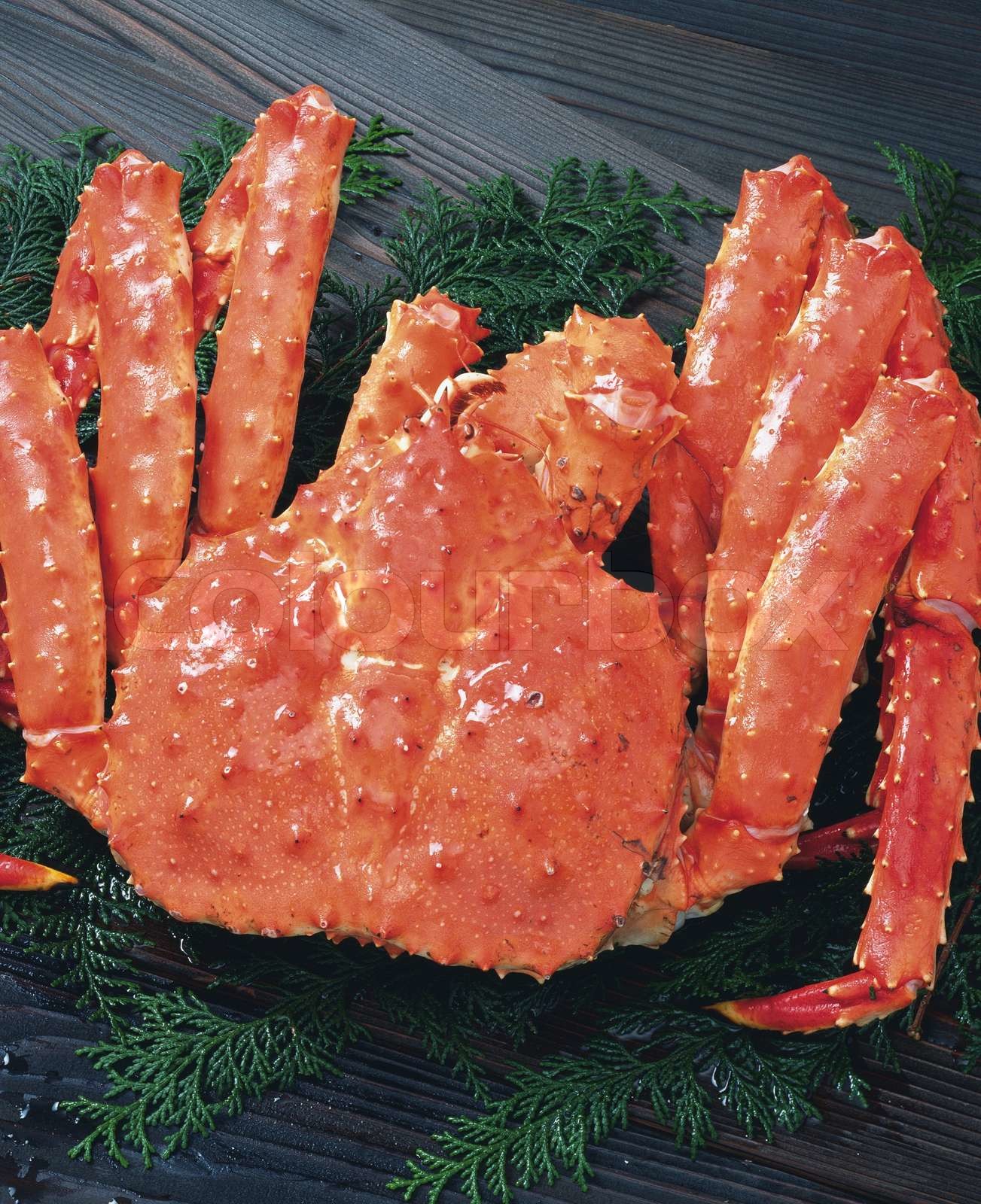Prepared Alaskan king carb | Stock image | Colourbox