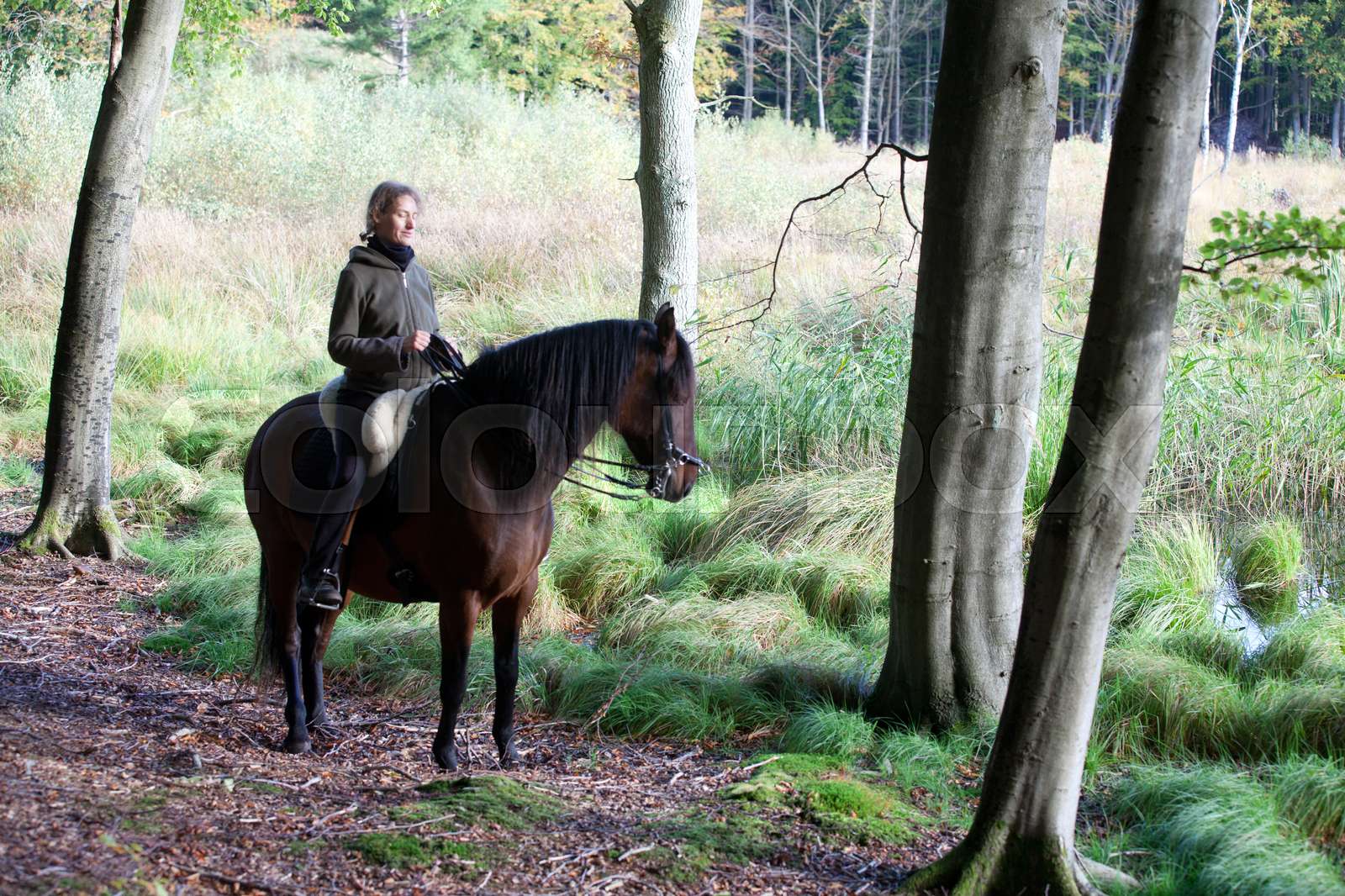 Girl riding a horse in a forest in Denmark | Stock image | Colourbox