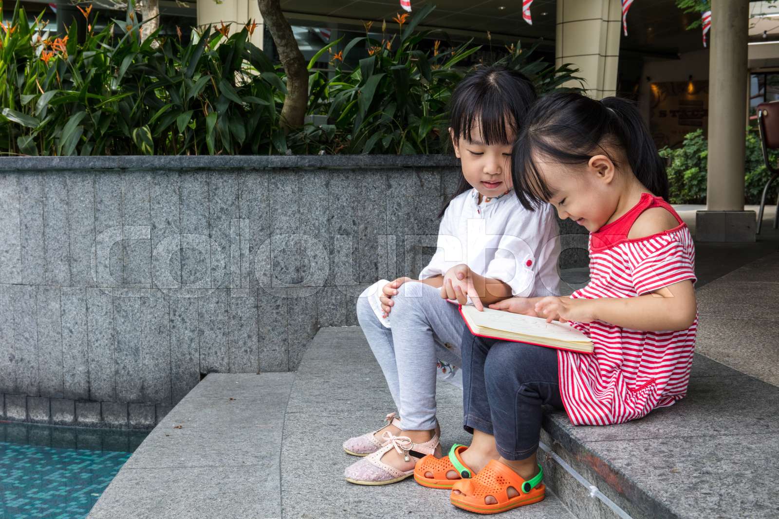 Asian Little Chinese Girls reading a book | Stock image | Colourbox