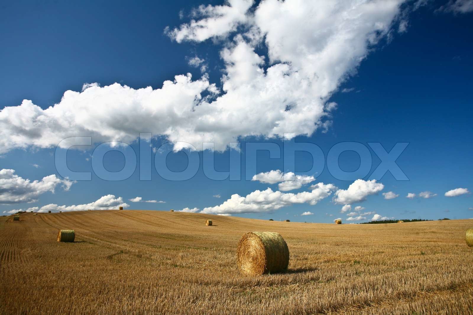 Nature in south Sweden in the province of Skåne, fields after harvest ...