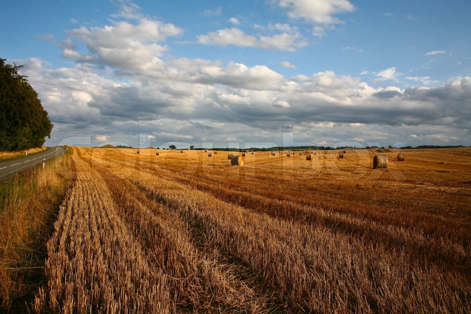 Nature in south Sweden in the province of Skåne, fields after harvest ...
