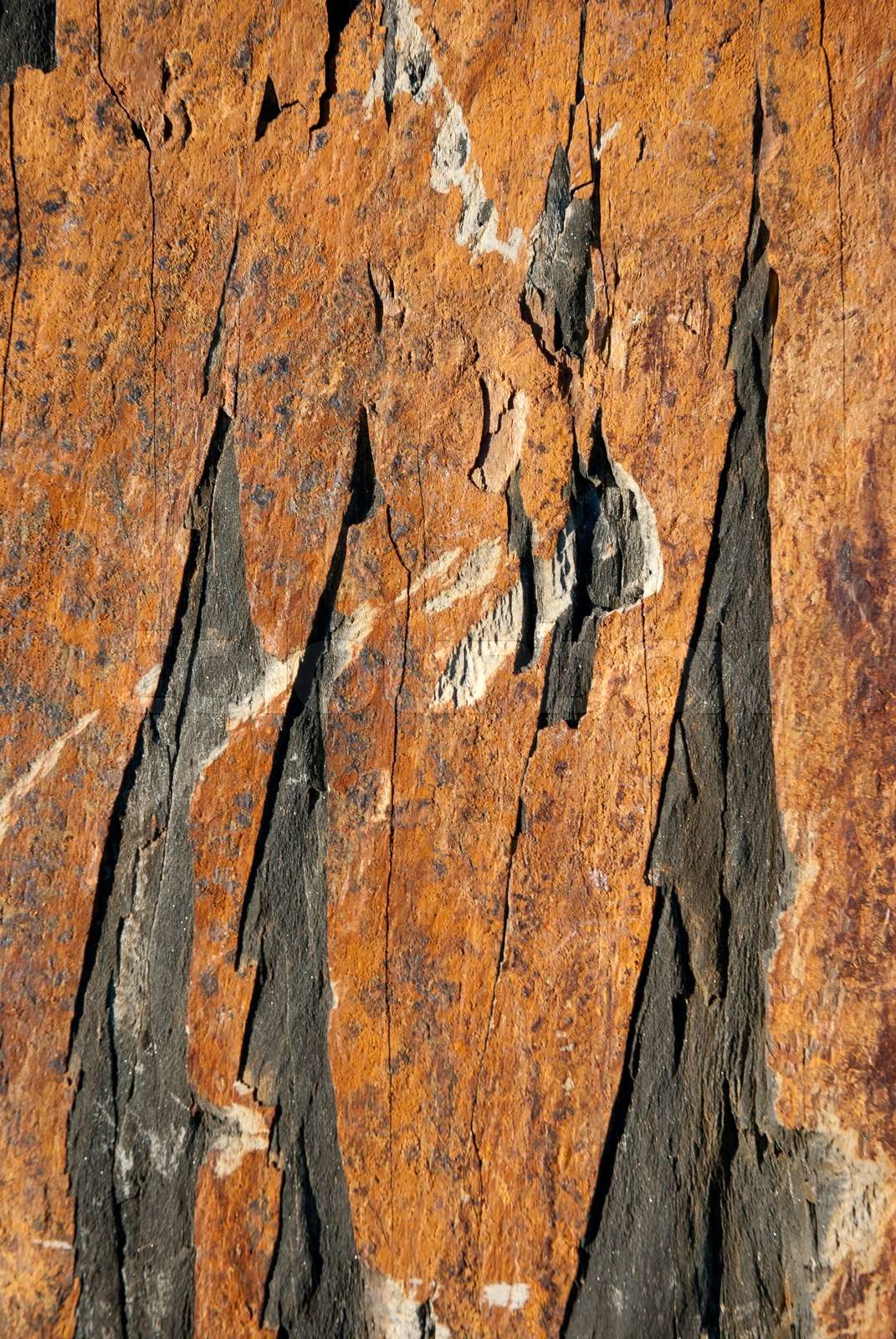 Background texture of earthy colored shale stone | Stock image | Colourbox