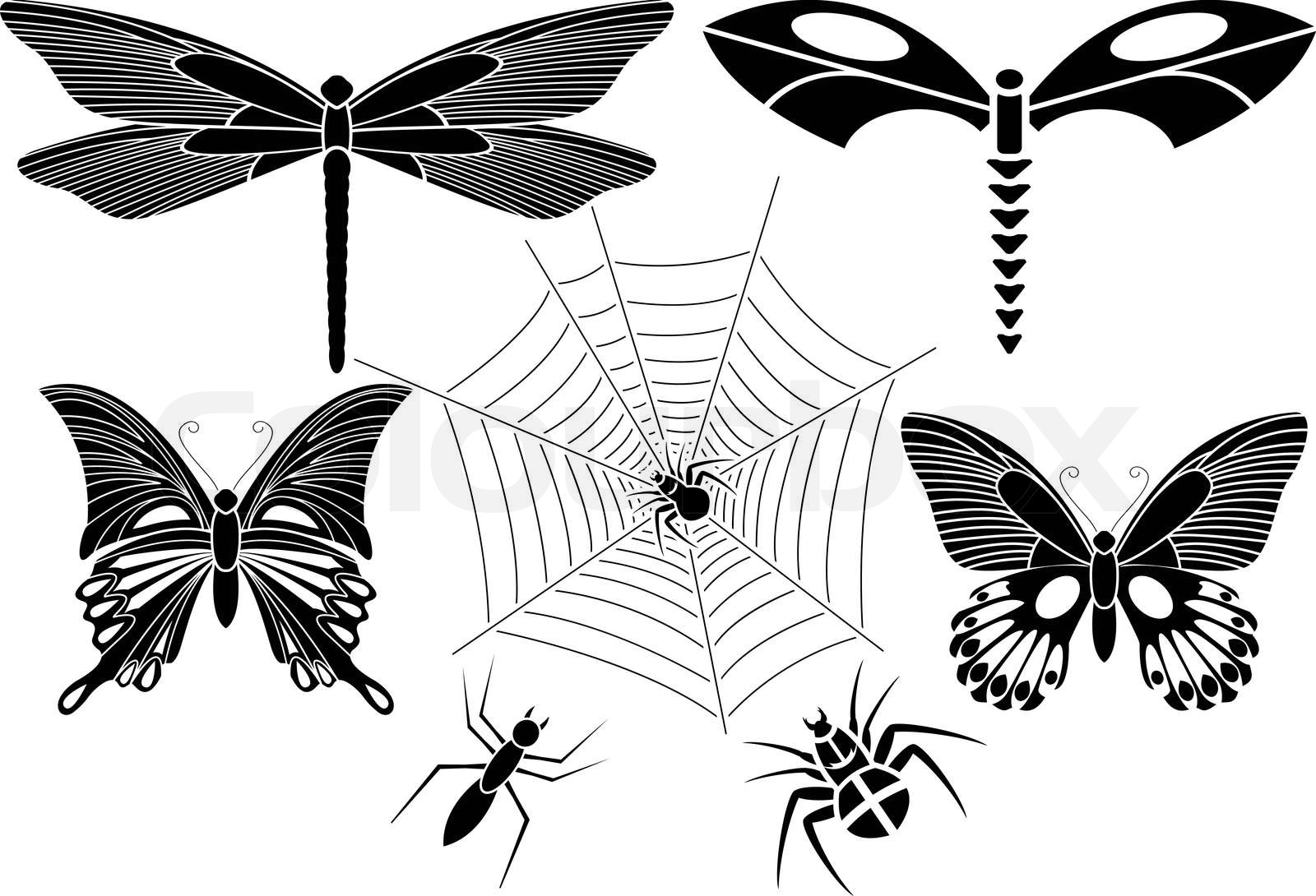 set of insects. vector illustration | Stock vector | Colourbox