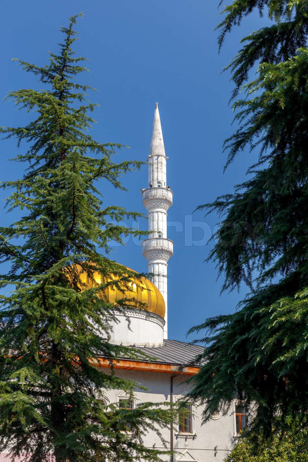 Batumi. Mosque of Orta Jame. | Stock image | Colourbox