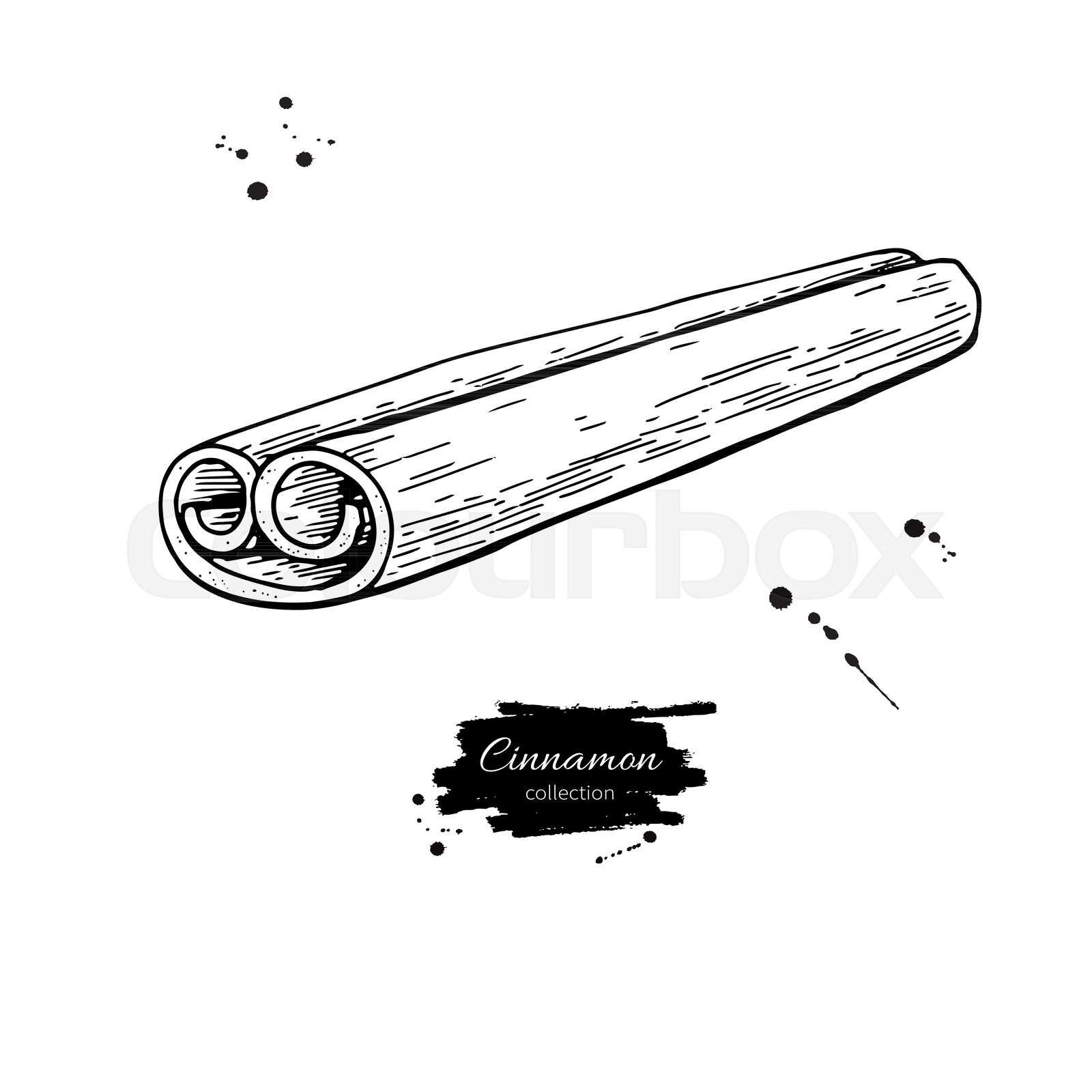 Cinnamon stick vector drawing. Hand drawn sketch. Seasonal food | Stock ...