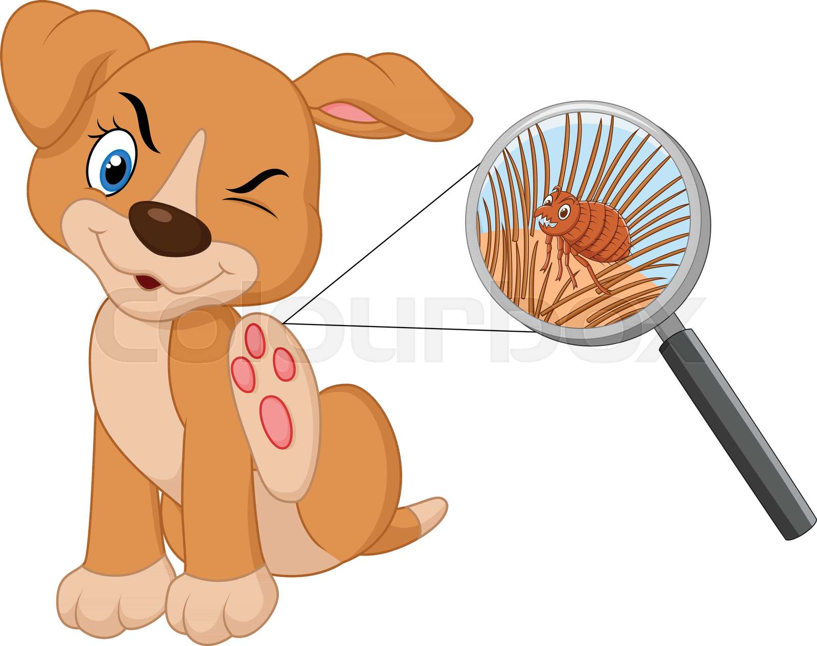 Vector illustration of flea Infested Dog | Stock vector | Colourbox
