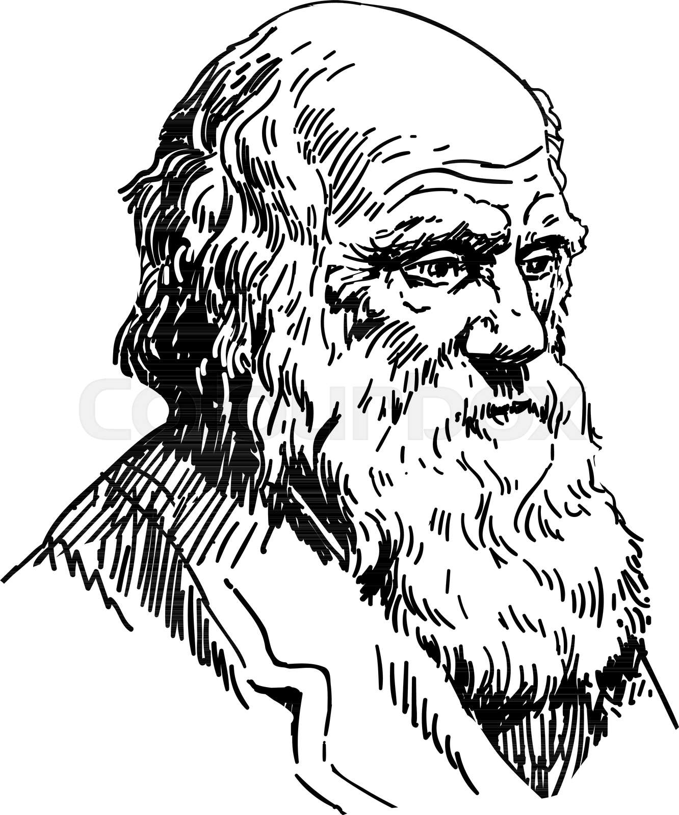 Charles Robert Darwin | Stock vector | Colourbox