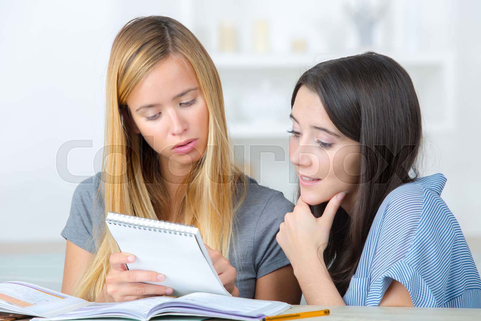 two females student learning together for exam | Stock image | Colourbox